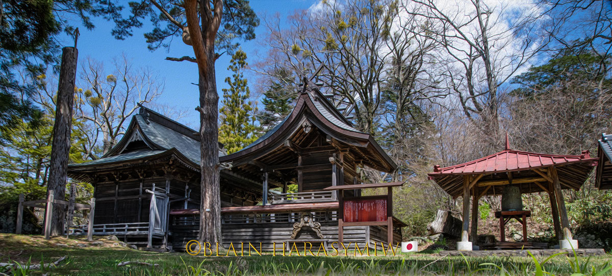 Japan’s Samurai Fortresses - Historic Cherry Blossom Photography Tour ...