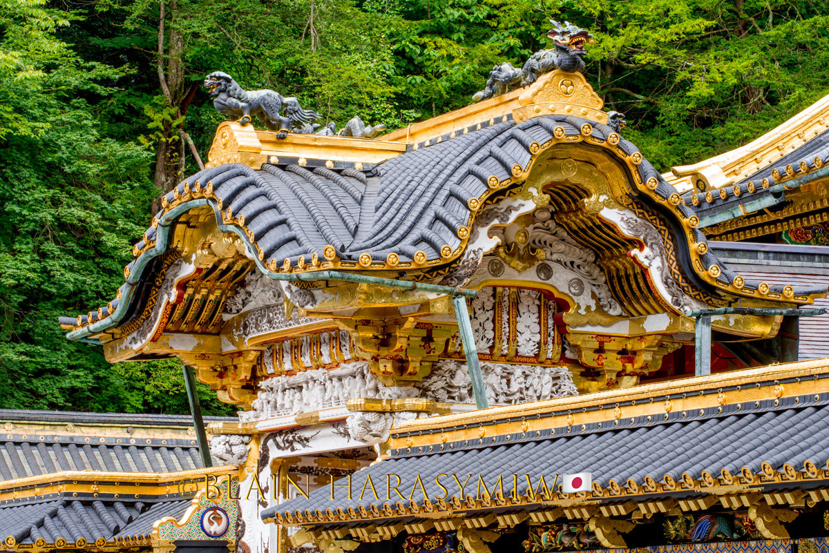 Ancient Japanese cemeteries (墓, ohaka) - Japan Photo Tour Power Spots ...