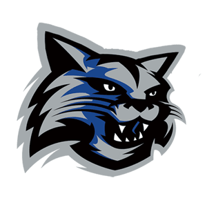 Sports Selector - PSS Imaging