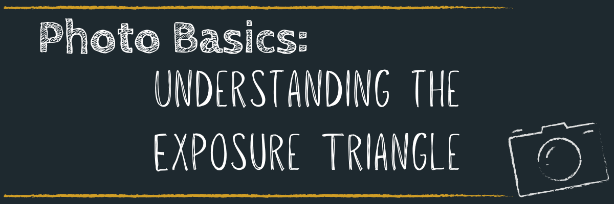 Photo Basics: Understanding the Exposure Triangle - The Grove