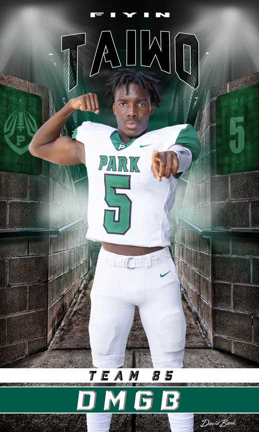 VINYL BANNERS/POSTERS - David Bank Studios