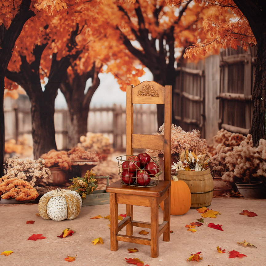 FALL MINI SESSIONS - Nickolson's Portrait Studio