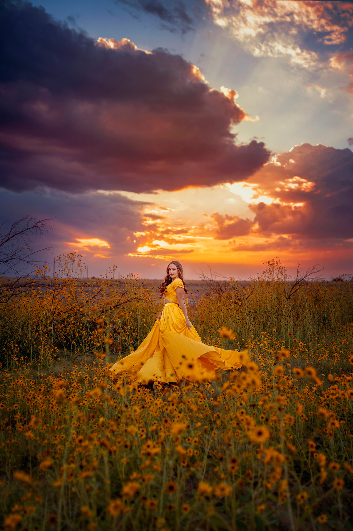 A Colorful Life: The Photographic Style of Stephanie DeFranco ...