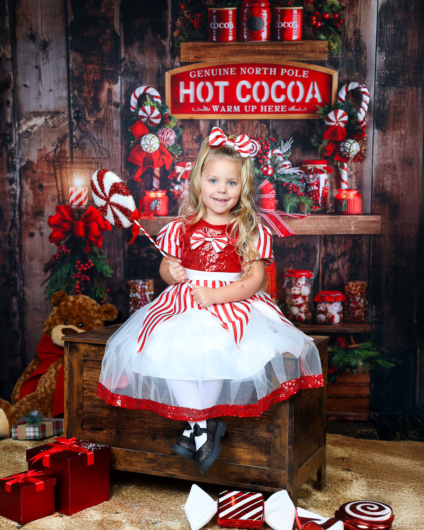 Christmas Mini Sitting fee - Doves Portrait Design