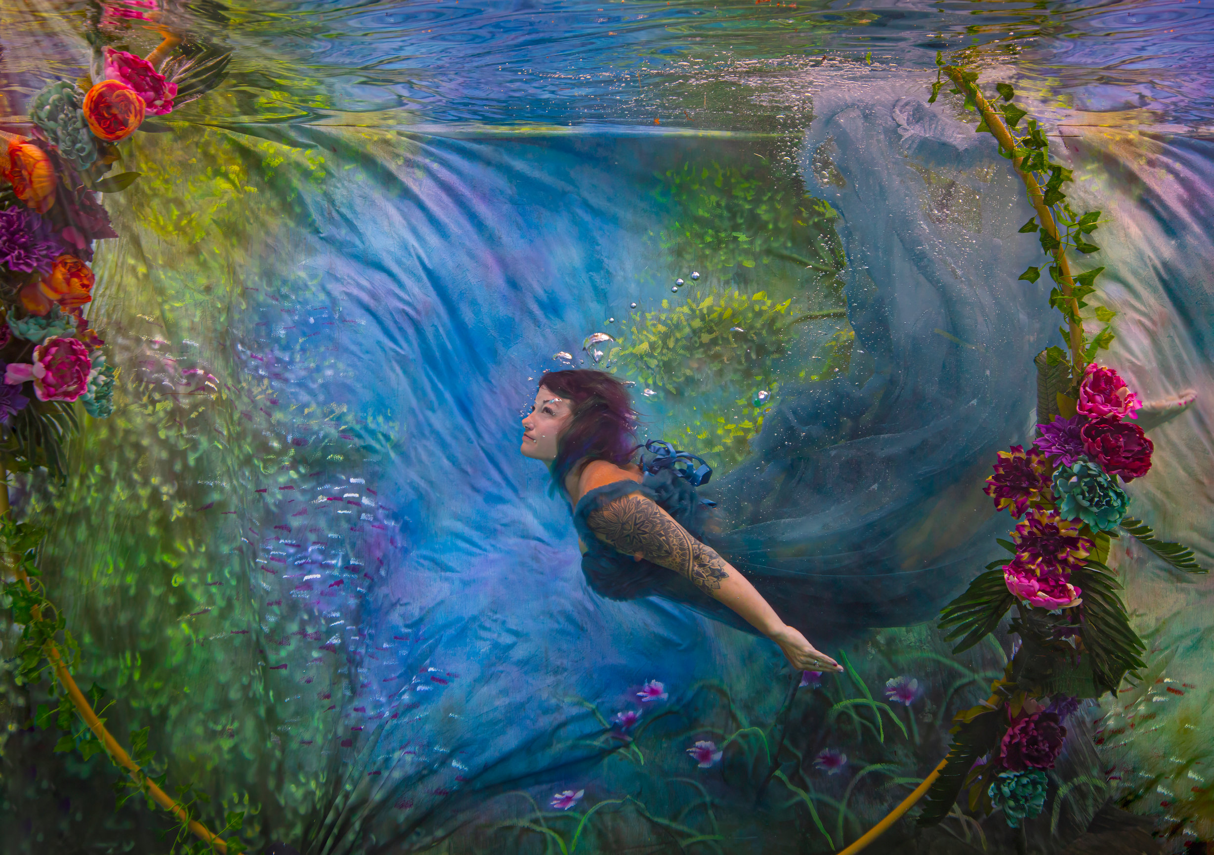 Underwater - Boston Photography