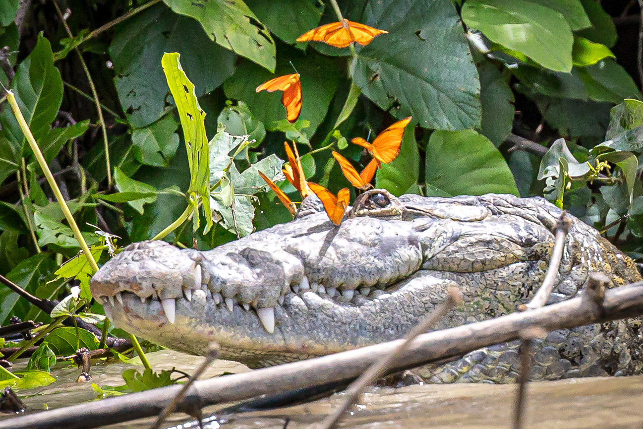 HOME - James Netz Photography