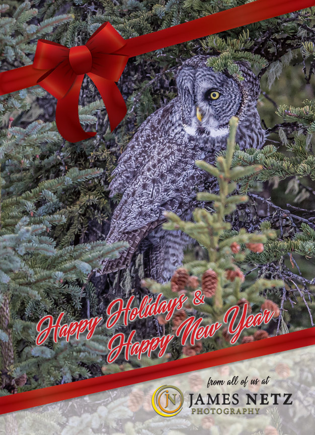 HOME - James Netz Photography