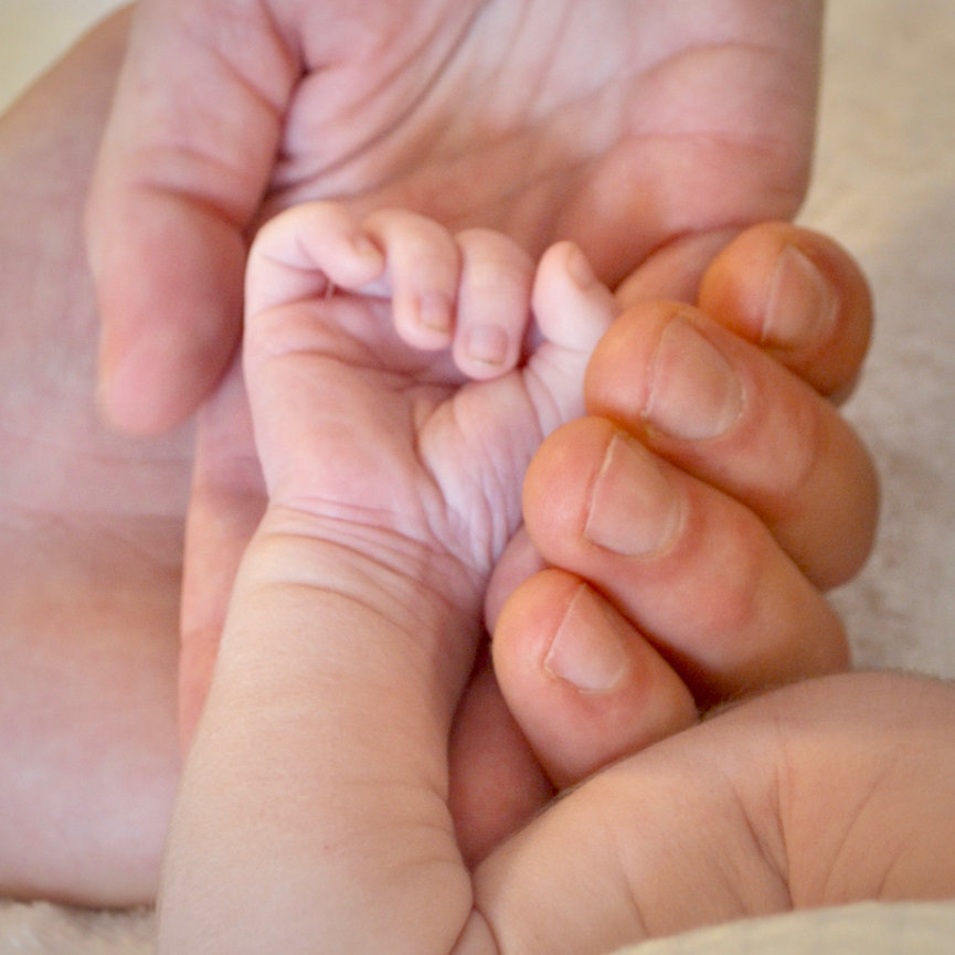 Jon Bierman Photography