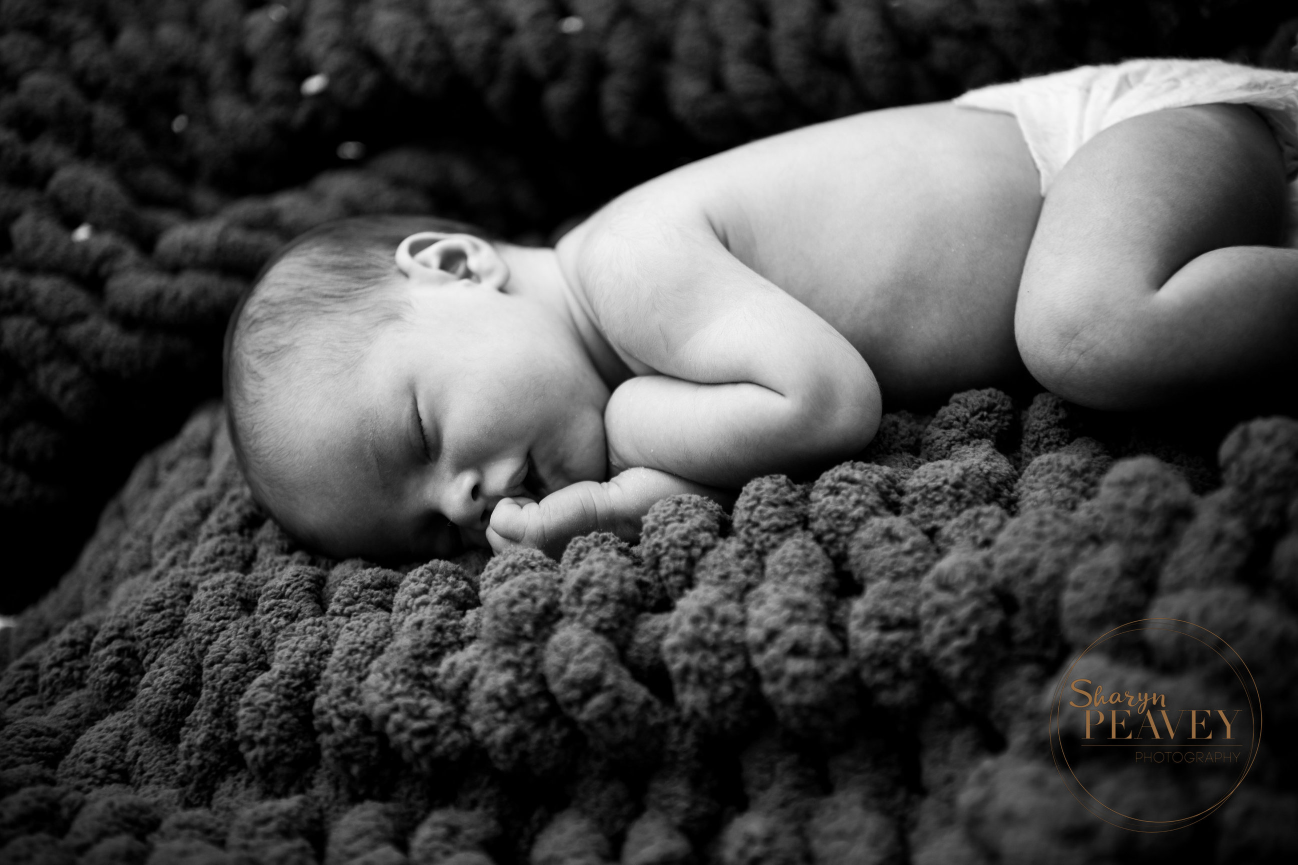 Baby Emerson's Newborn Session at the Studio