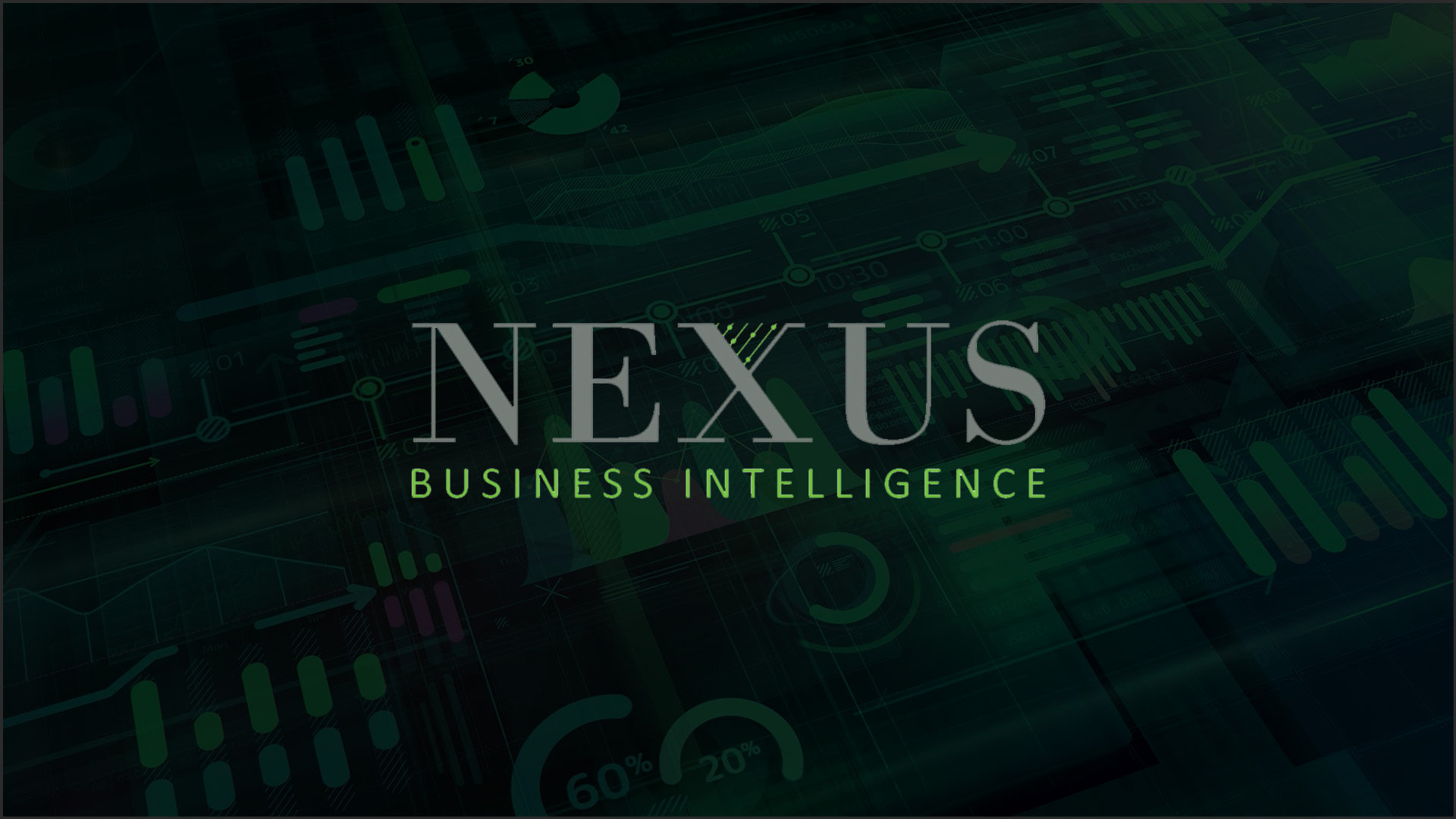 Nexus Business Intelligence - Sandy Puc' Productions
