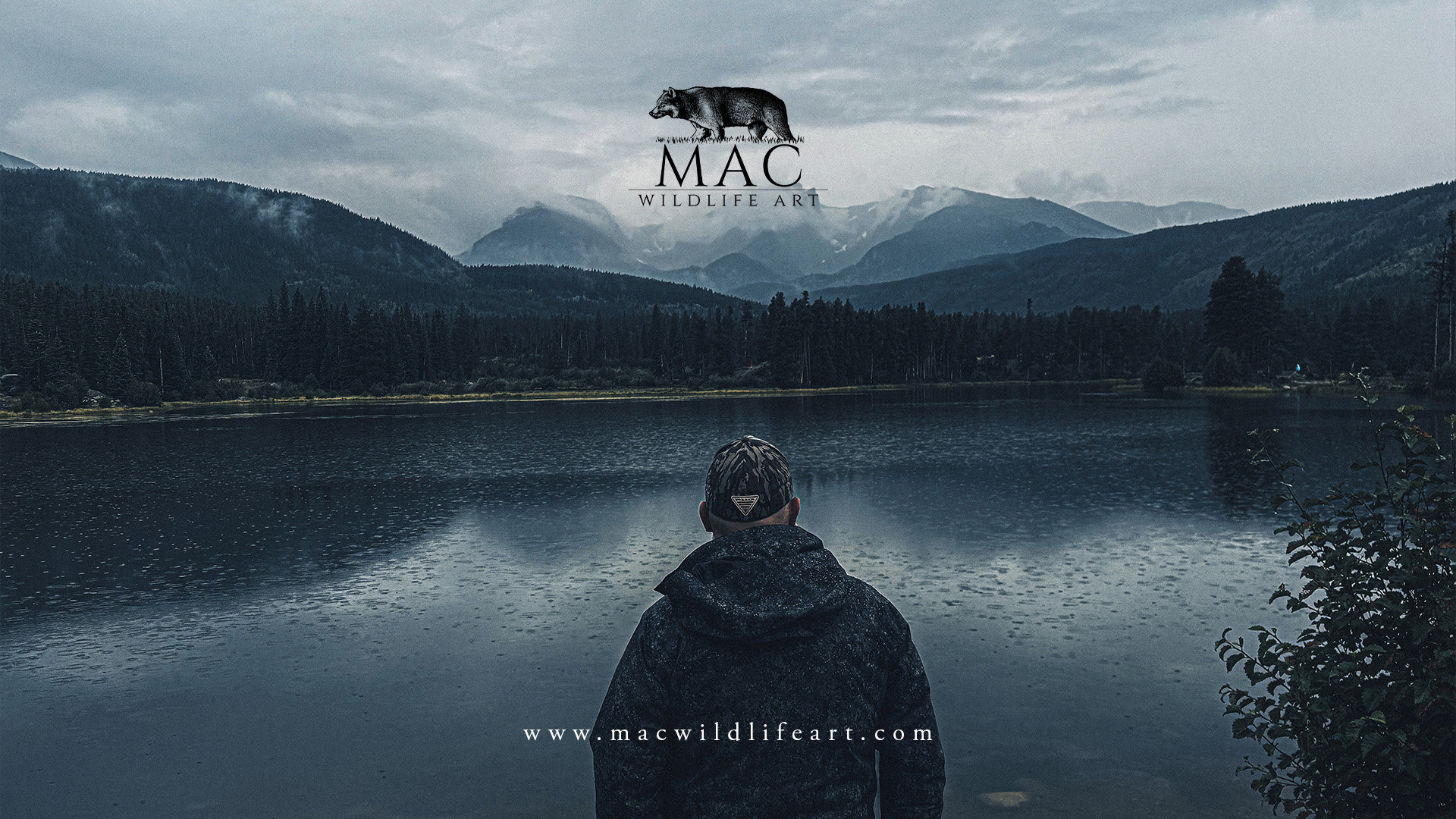 An Introduction to Mac Wildlife & Art