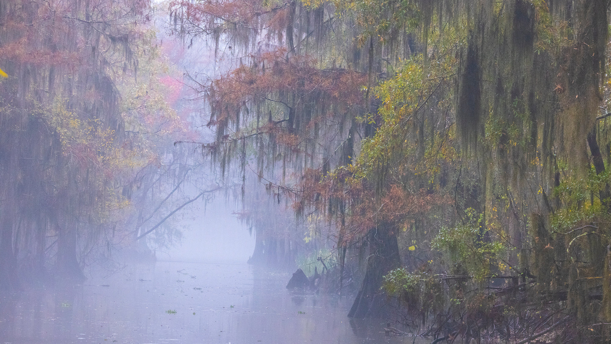 Louisiana gallery - Jim Zuckerman photography & photo tours