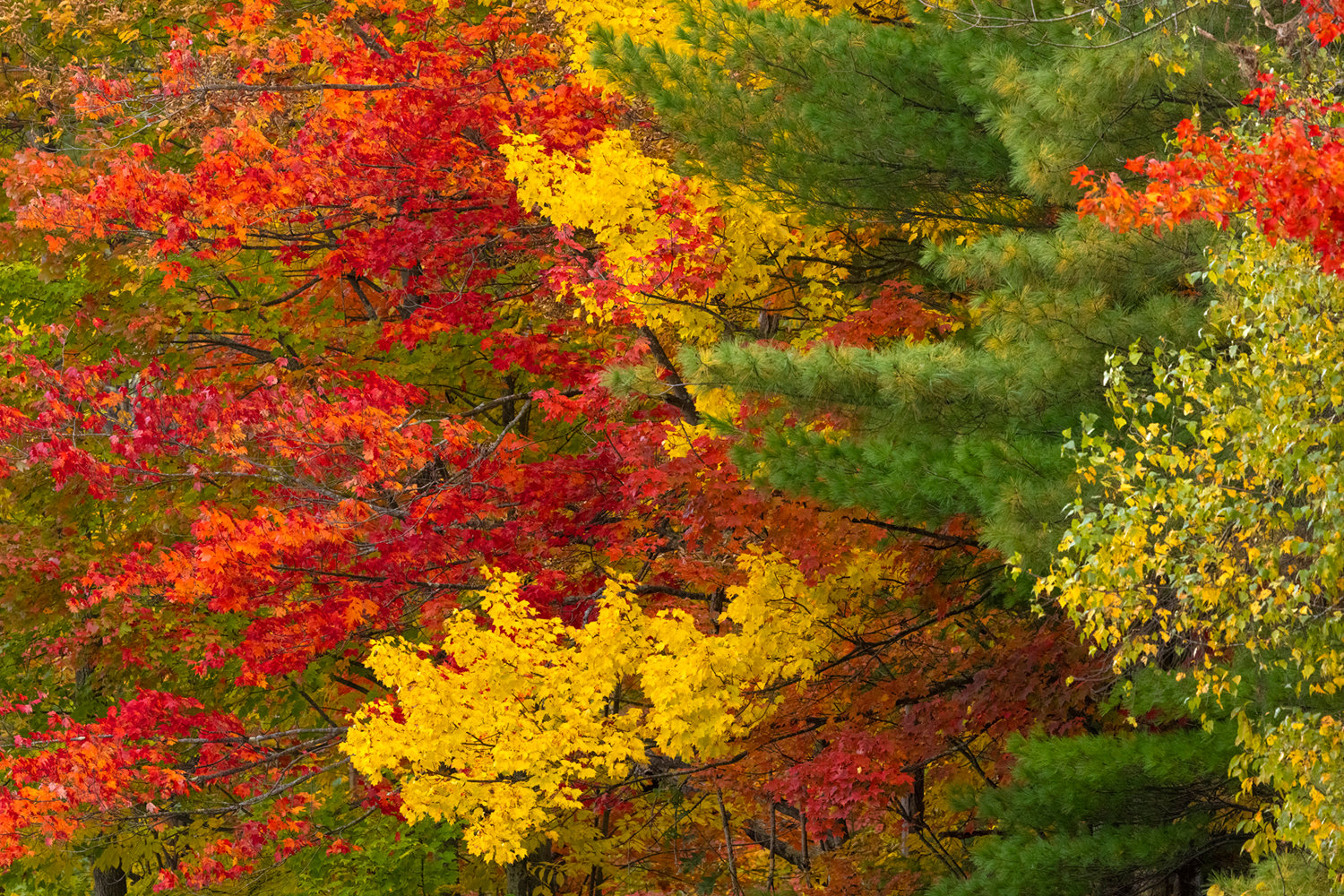 New England - Jim Zuckerman photography & photo tours