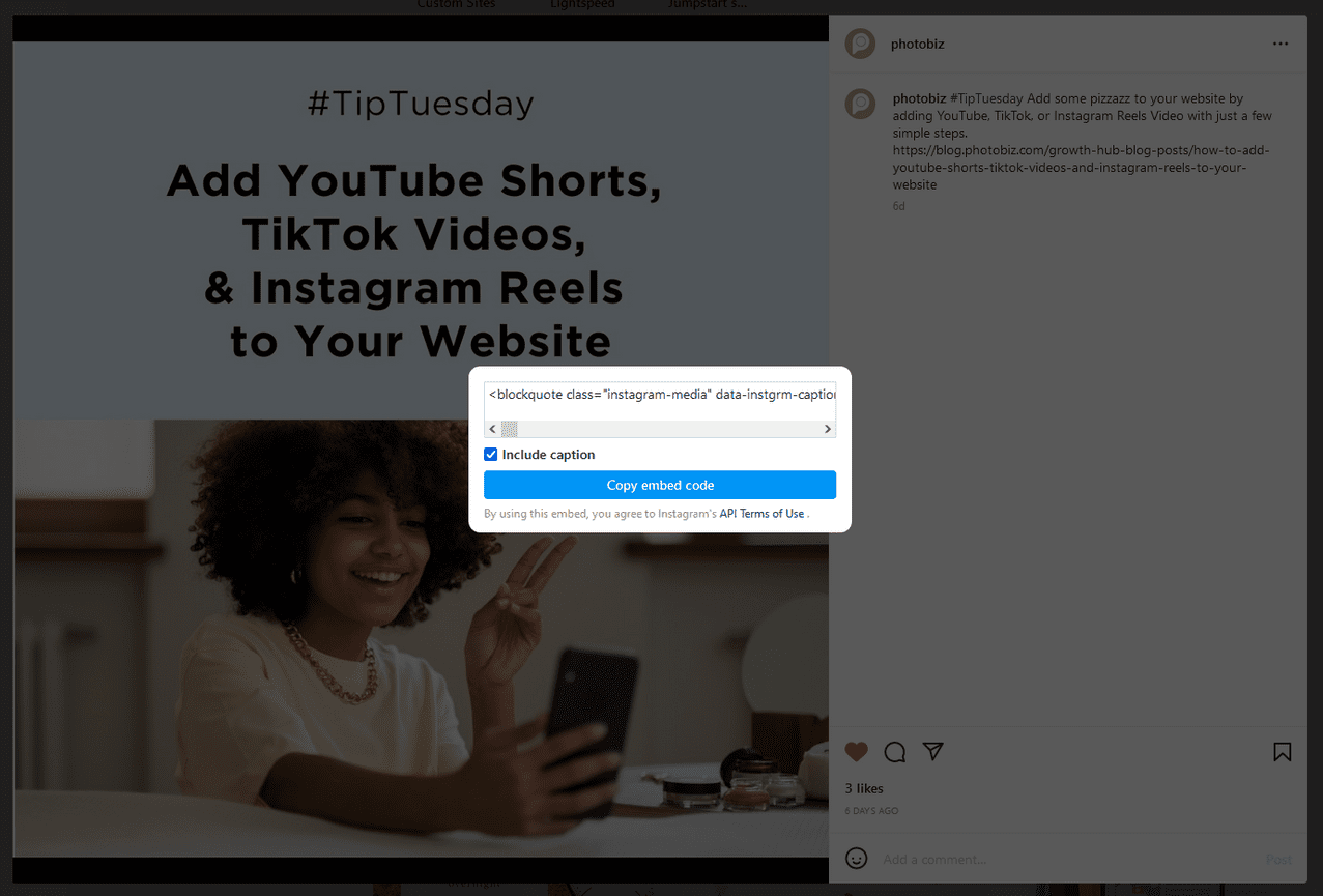How Can I Add Instagram Posts and Reels To My Website? - PhotoBiz ...