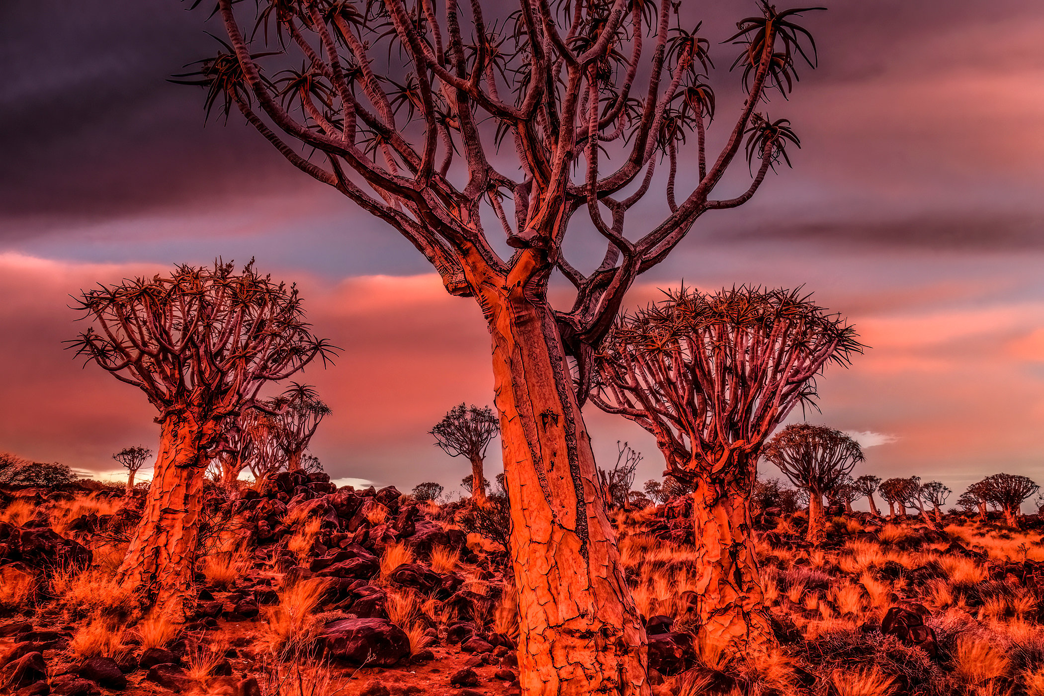 Outrageous sunset color - Jim Zuckerman photography & photo tours