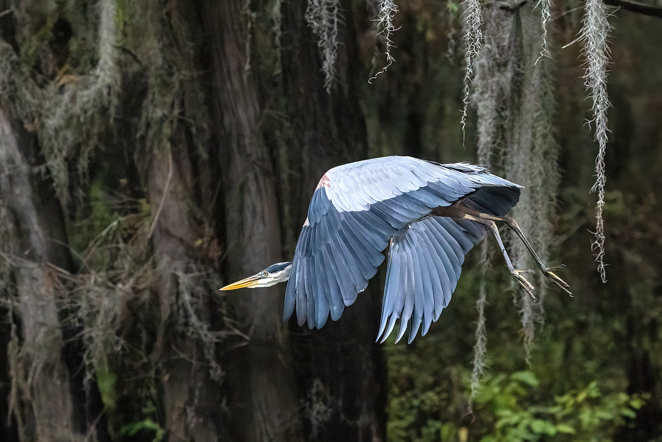 Jim's Blog | Jim Zuckerman Photography & Photo Tours