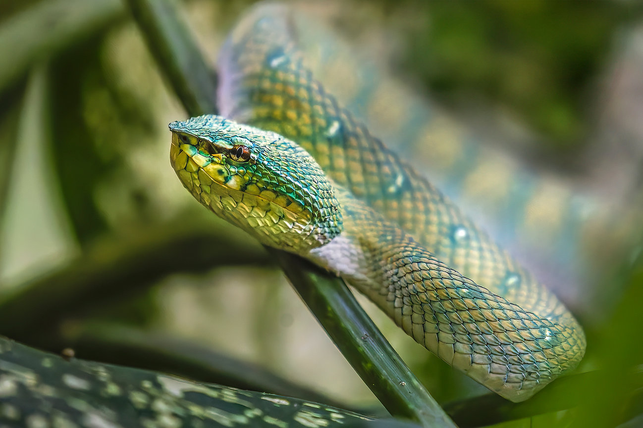 Jim's Blog | Jim Zuckerman Photography & Photo Tours