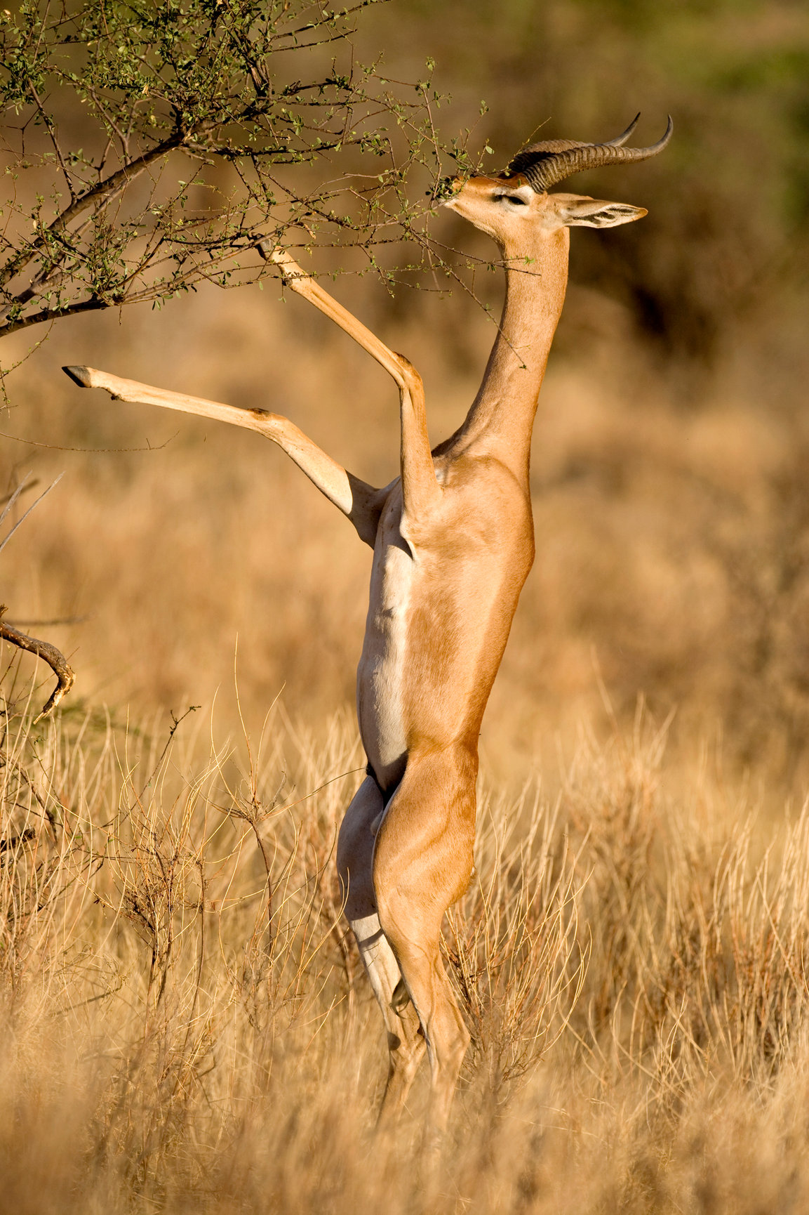 A unique niche in nature - Jim Zuckerman photography & photo tours