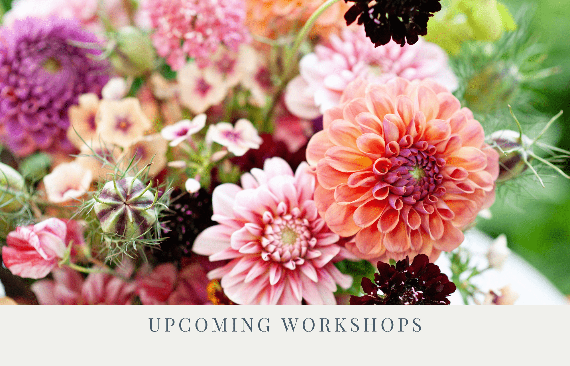 Public Workshops - Flowers By Janie