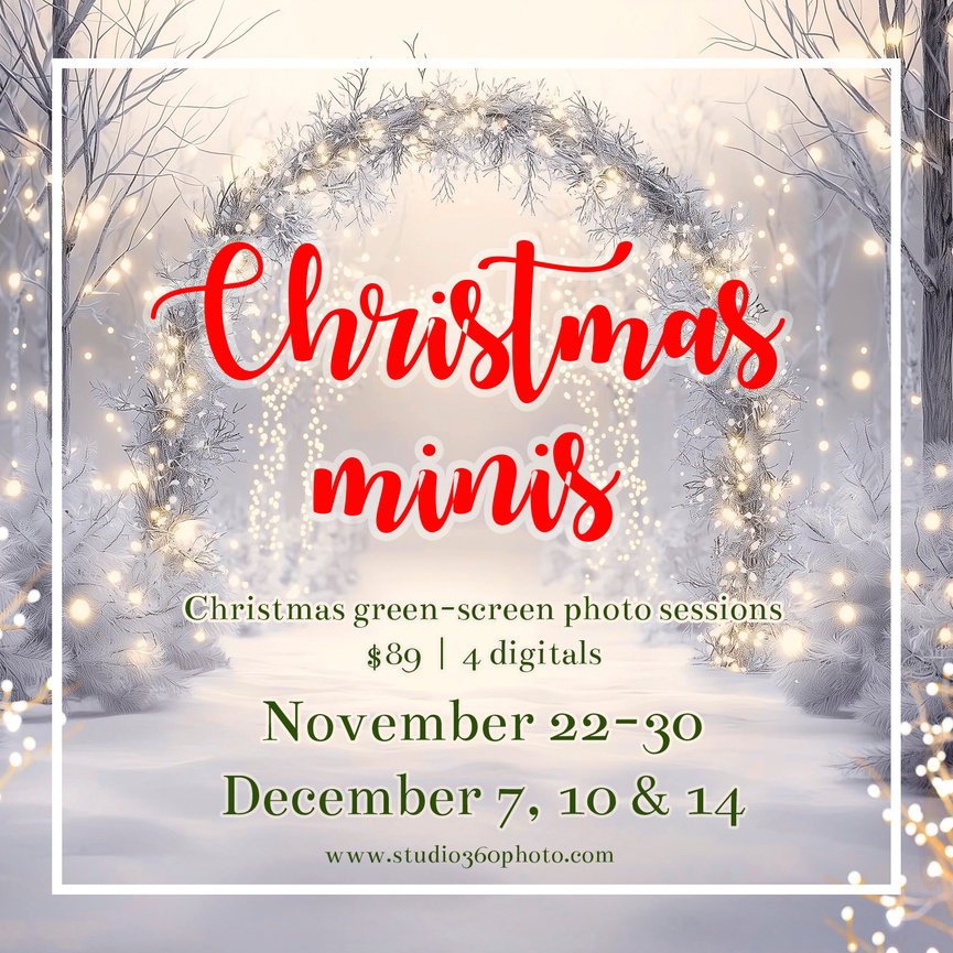 Christmas Mini - Studio 360 Photo