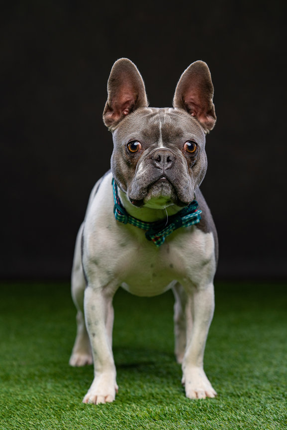 Client Final Galleries - Orendorff Studios