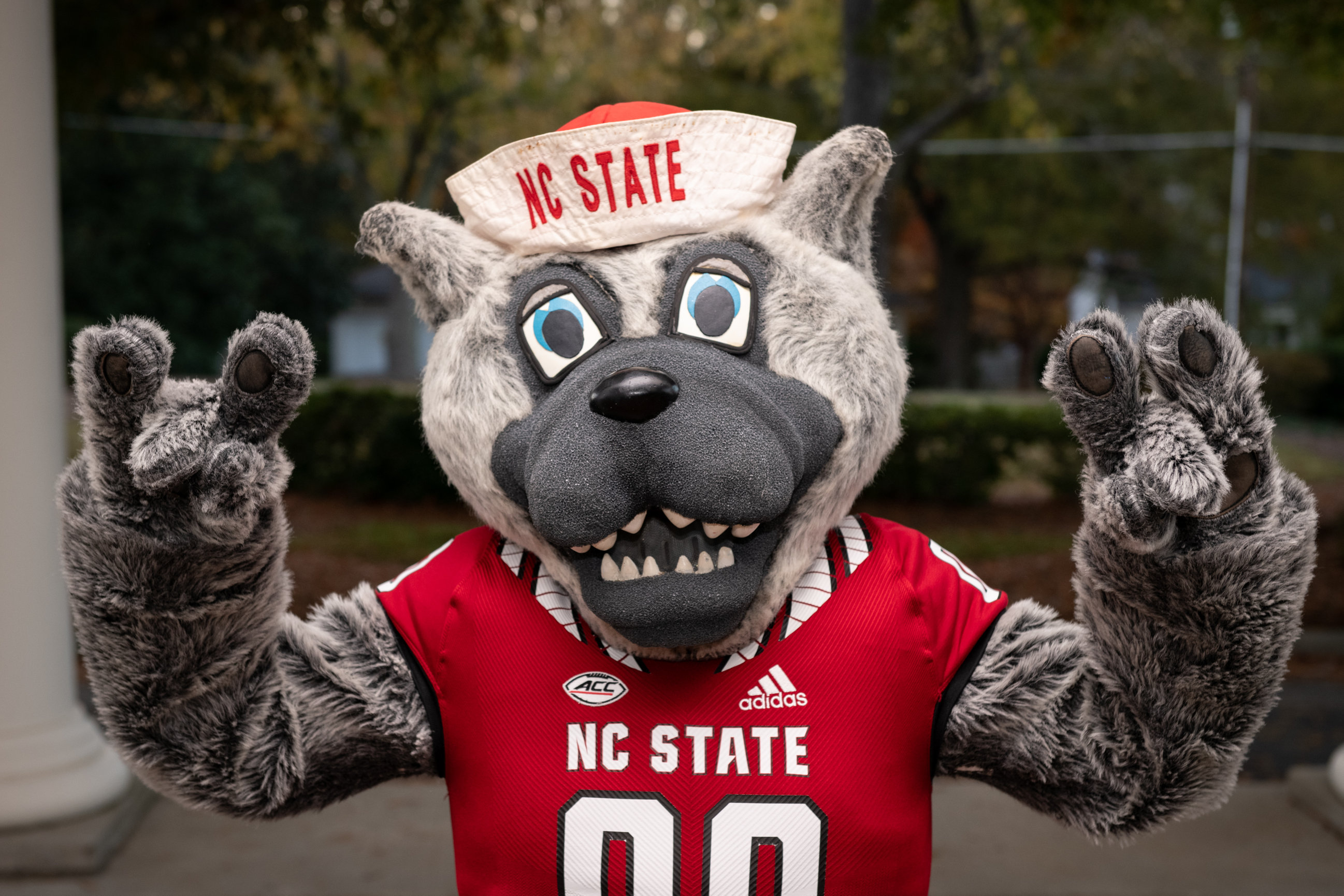 High Point's Grace and Jeremy make S T A T E_ment - Aesthetic Images ...