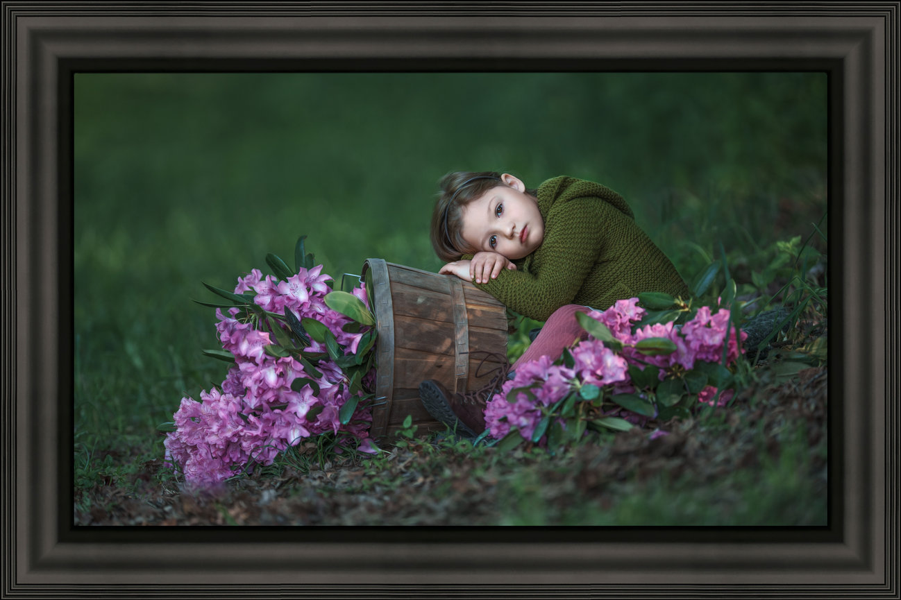 Cranberry Township Mars Photographer Always Remember Photography