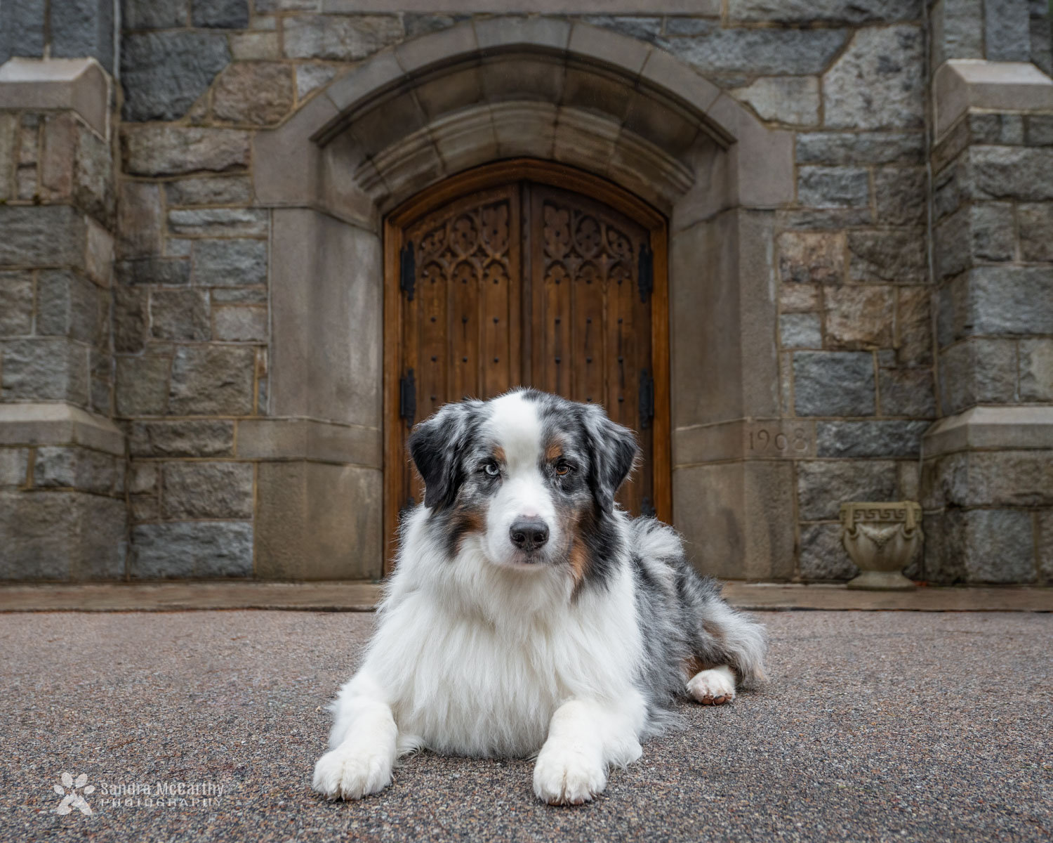 Using Elements in the environment to frame your photography subject ...