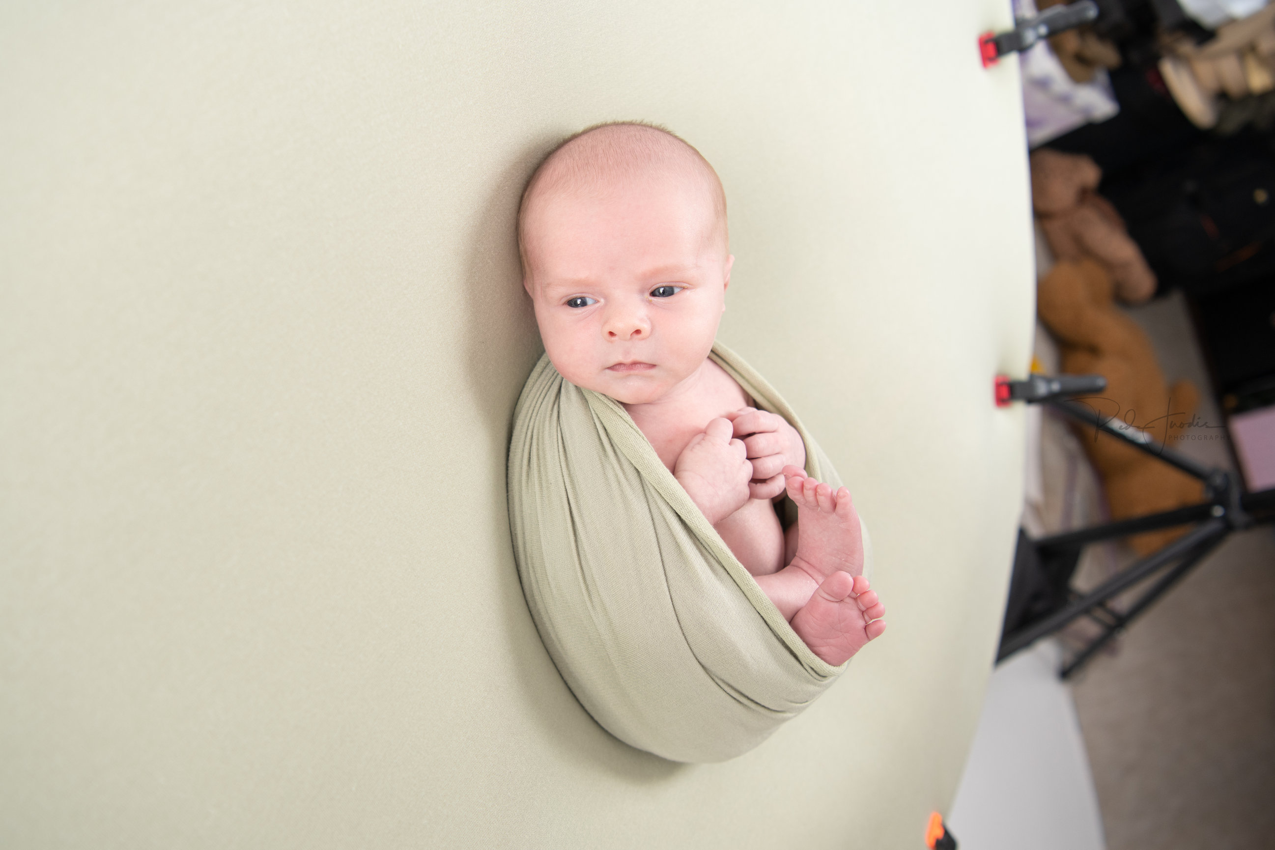 EVERYTHING YOU NEED TO KNOW ABOUT PHOTO PROOFS - Juodis Photography