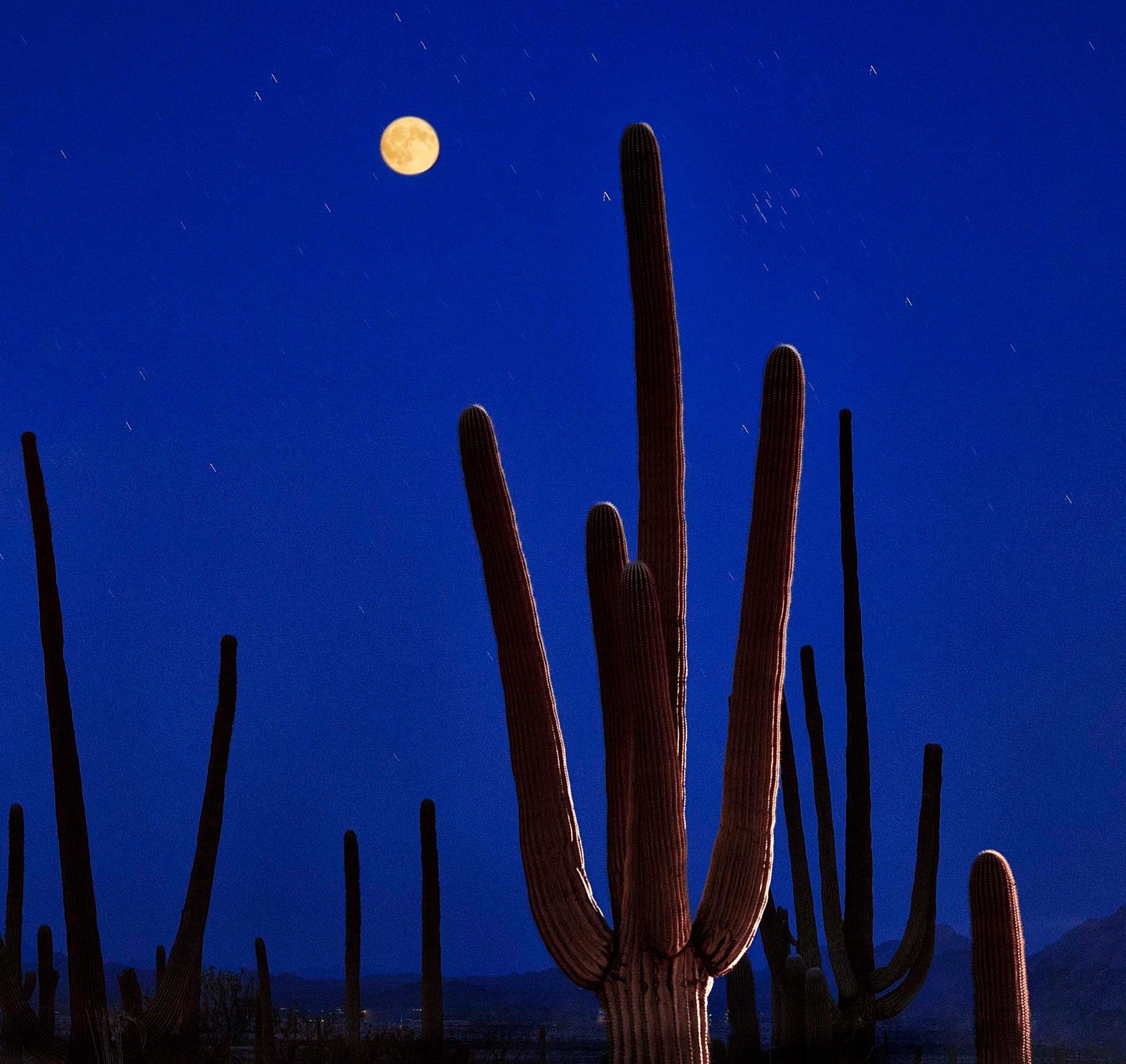 Fine Art Portfolio | Rod Mikinski Photography