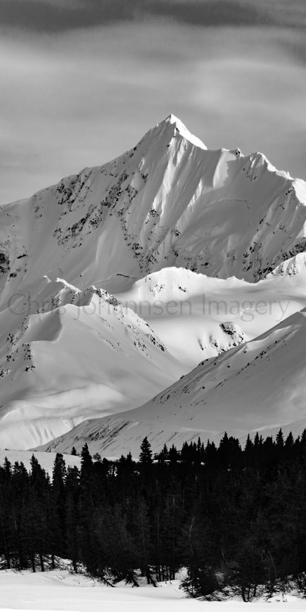 BLOG - The Open Shutter