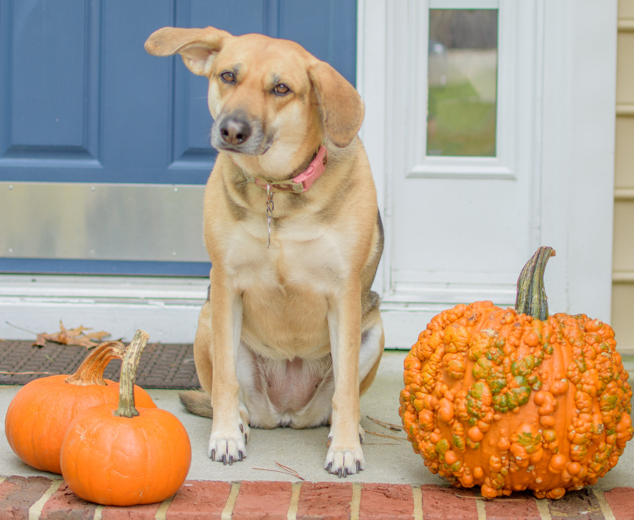 ELLIE - April Eason Photography