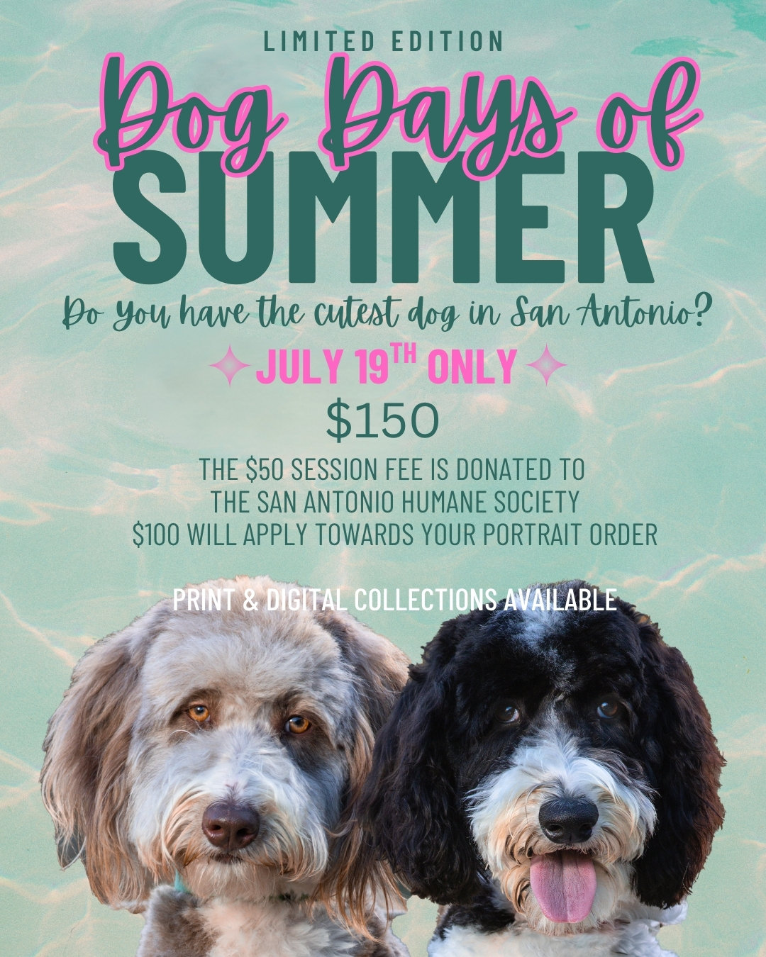 Dog Days of Summer - Artistic Images, Portraits By Elizabeth