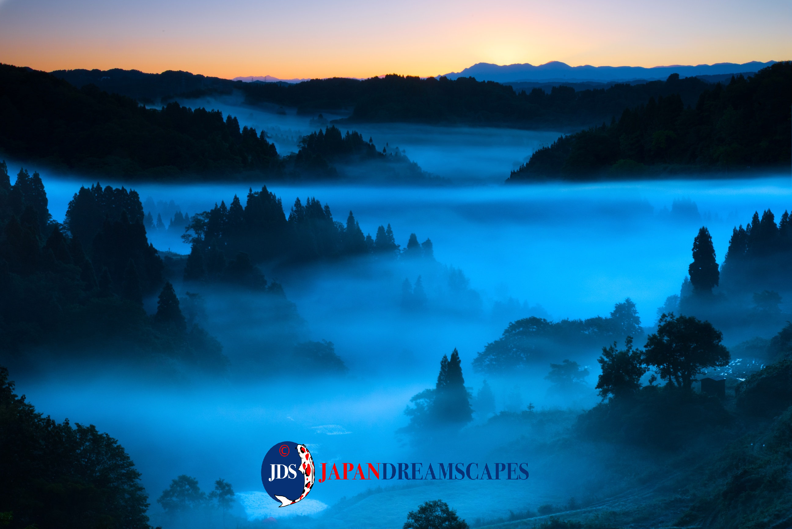 2027 Big City, Snow Monkeys, Onsens JPN Photo Tour - JAPAN DREAMSCAPES