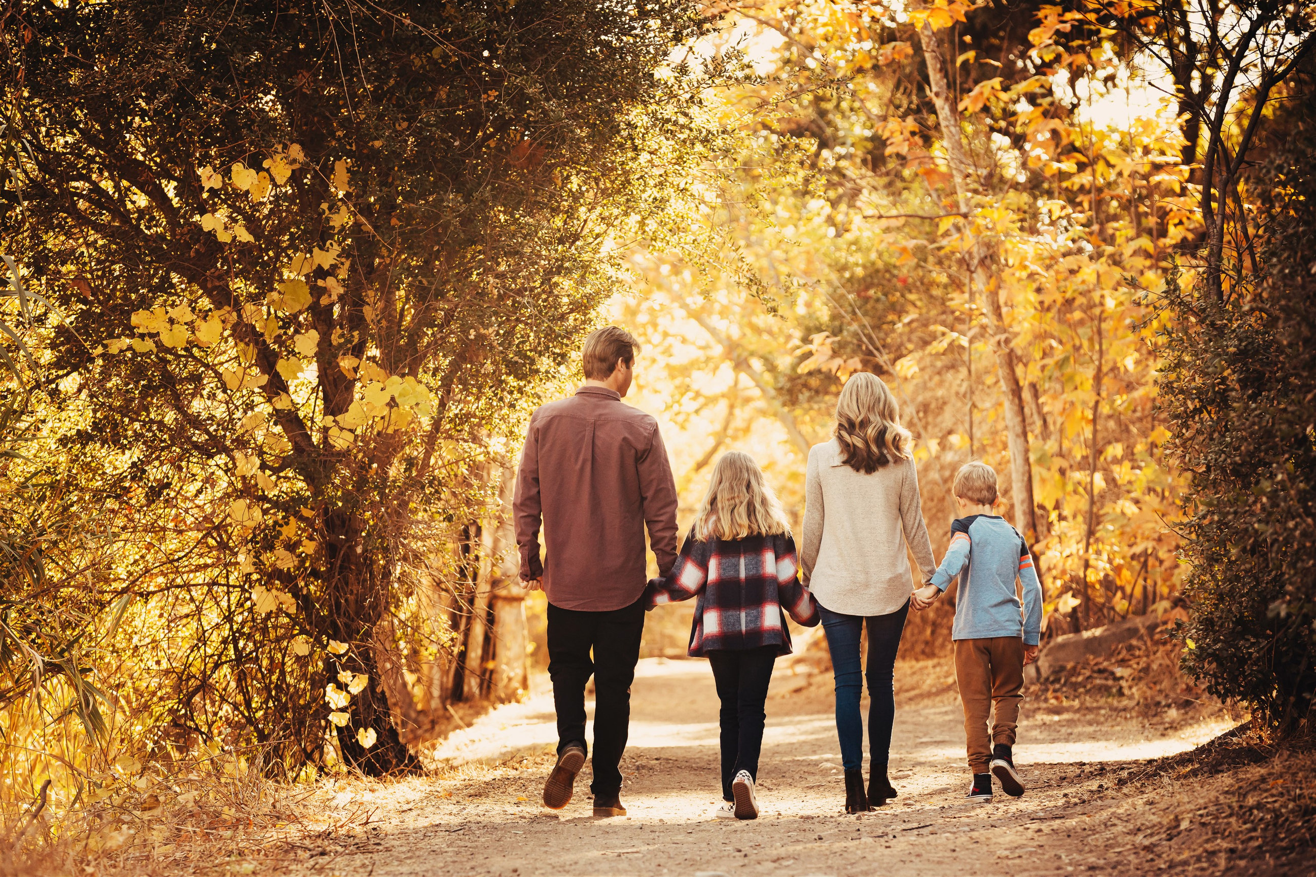 Collective Perception Photography