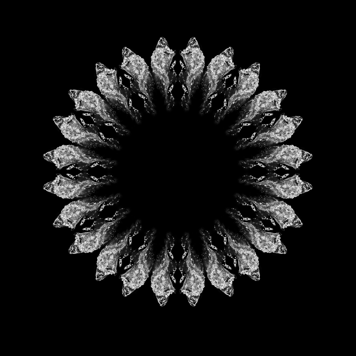 FLORAL ART | KALEIDOSCOPES | Susan Phelps Photography | WOKINGHAM