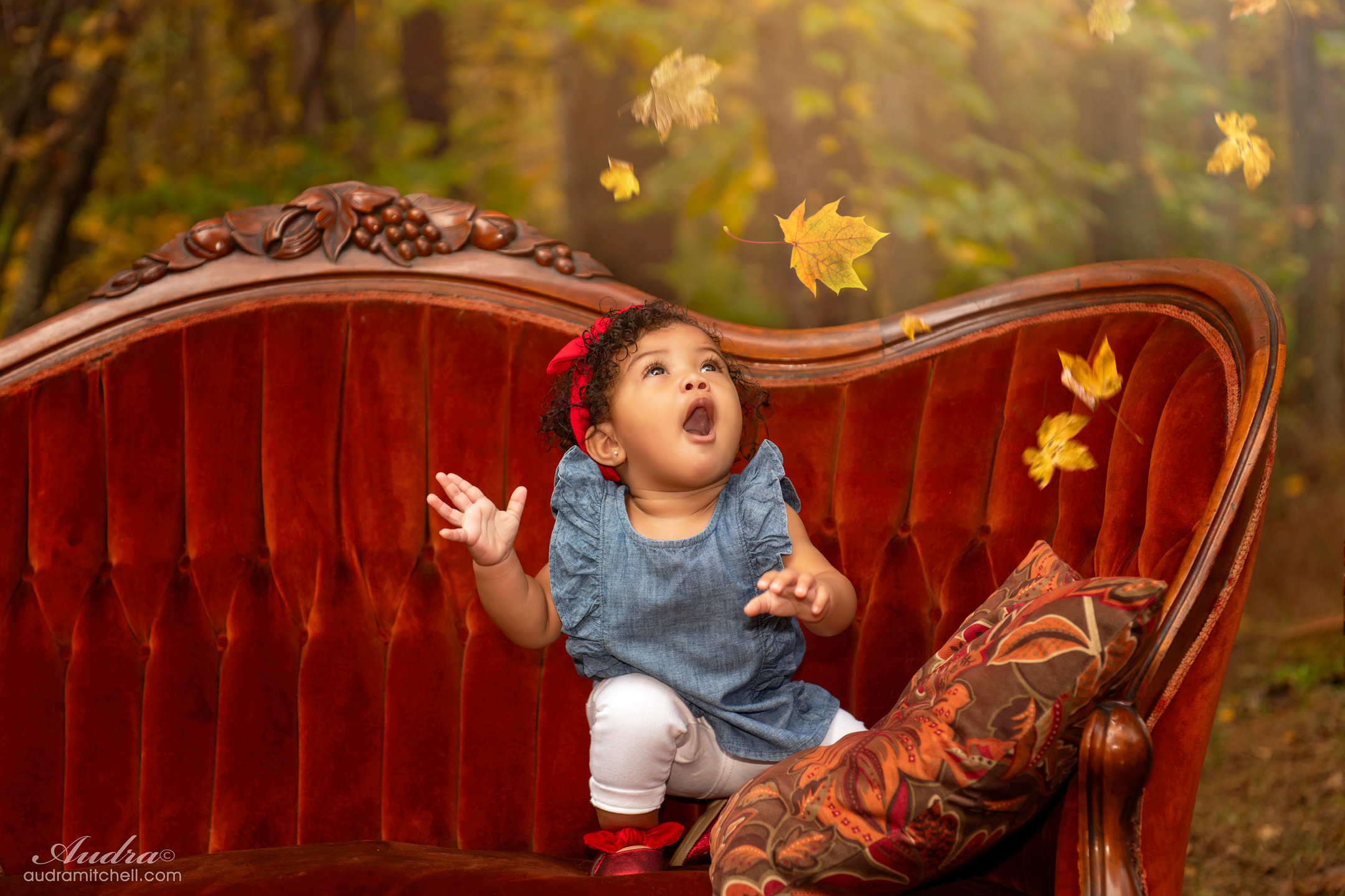 Sample Fall Outdoor Sofa - Audra Mitchell Photography