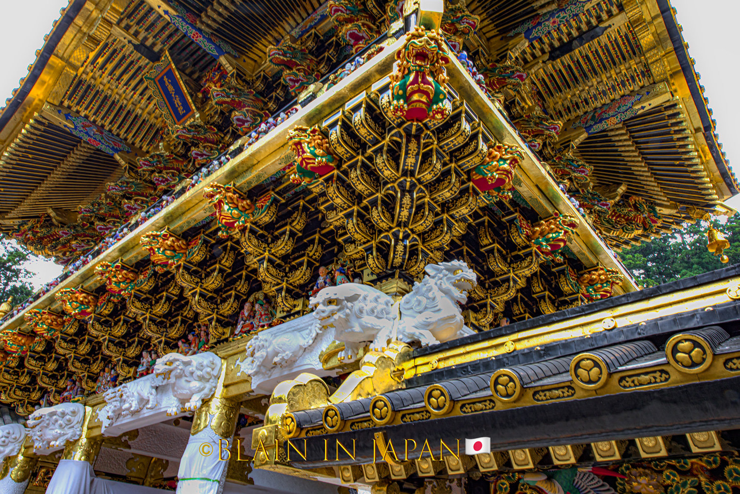 Happy New Year of the Cow - Vortex Power Spots Chakras - Blain ...