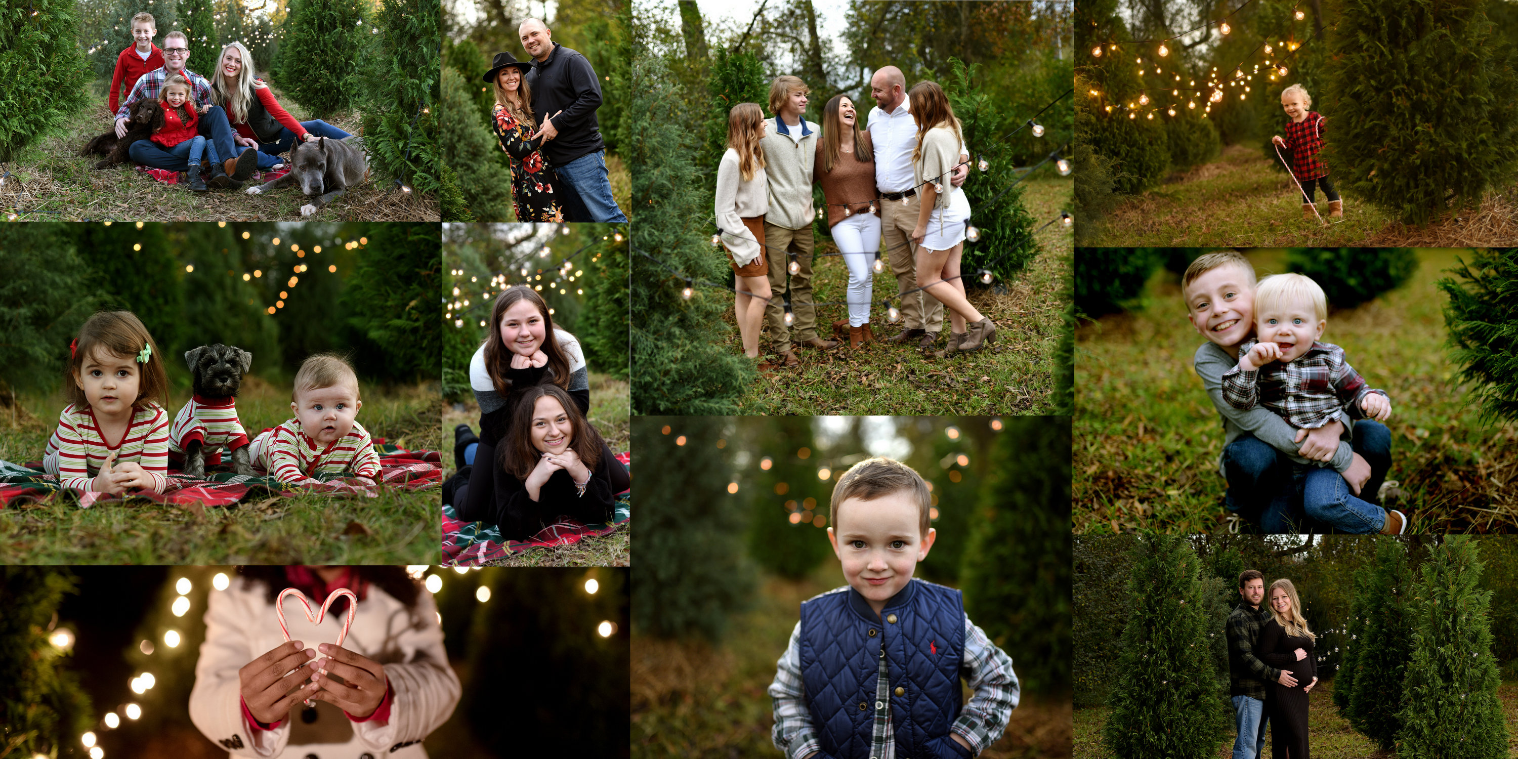 Home - Jackie Romine Photography Inc.