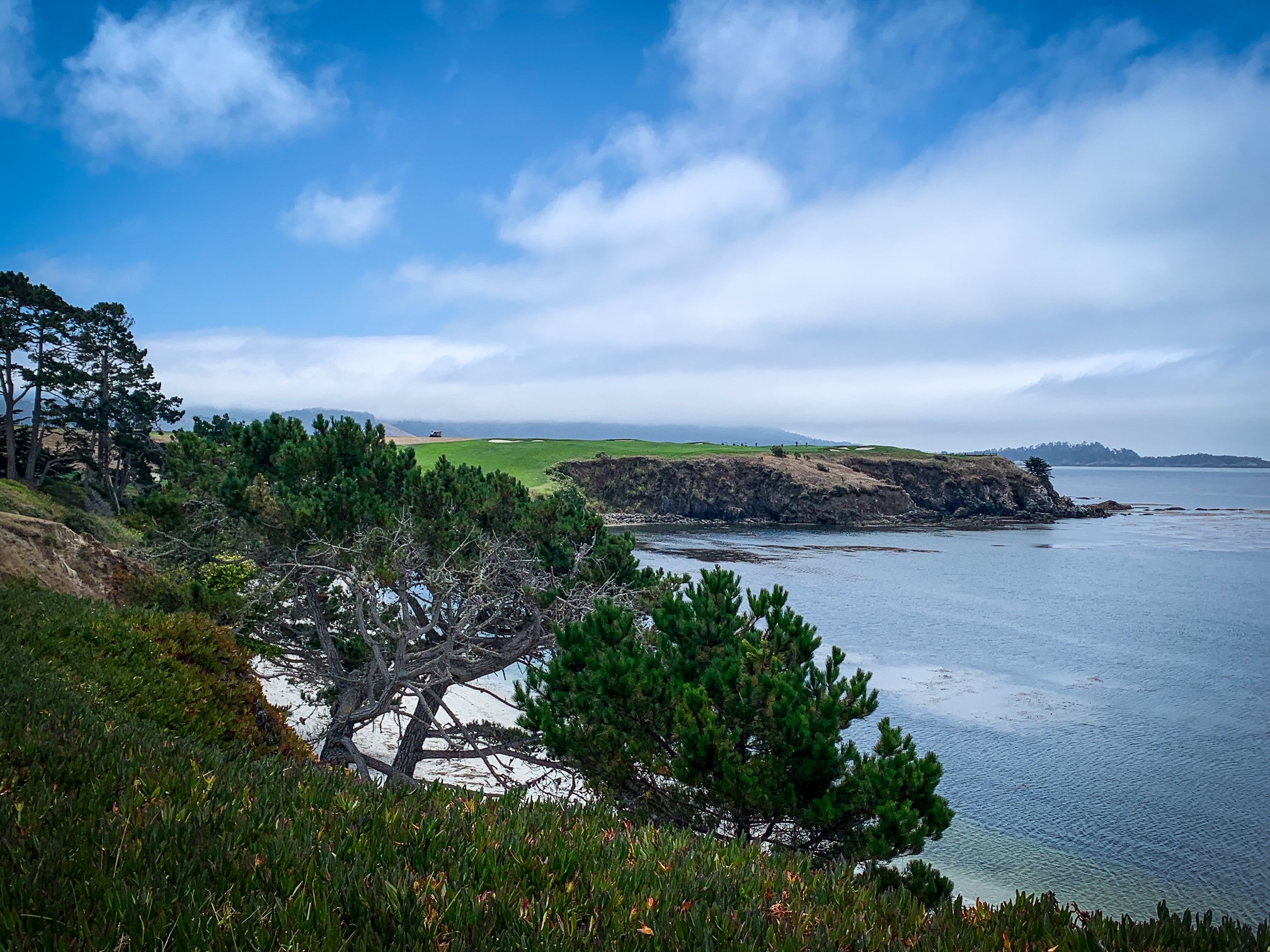 Bucket List Trip to Pebble Beach - Micciche Photography